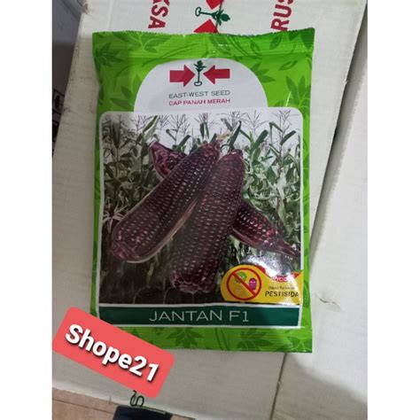 Jual Benih Jagung Jantan F1 Isi 250 Gram Shopee Indonesia