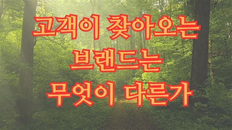 고객이 찾아오는 브랜드는 무엇이 다른가 L 실리콘밸리 전략가가 알려주는 4단계 브랜딩 법칙ㅣ테레사 M 리나 ㅣ박세연 번역ㅣ
