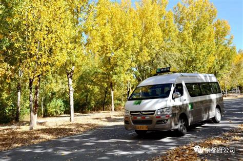 替朋友考驾驶证被发现我还能考驾驶证吗 搜狐汽车 搜狐网