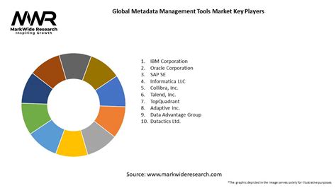 Global Metadata Management Tools Market Analysis Industry Size Share Research Report