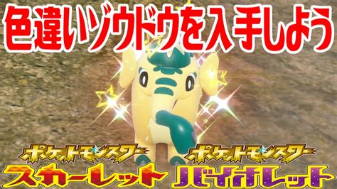【ポケモンsv】色違いゾウドウを入手しよう【ポケットモンスター スカーレット・バイオレット】pocket Monsters Youtube