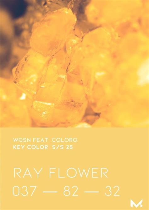 WGSN COLORO Key Colors Spring Summer 2025 Moject Color Trends