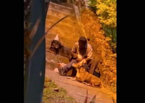 Video de indigente celebrando cumpleaños a sus perros se vuelve viral