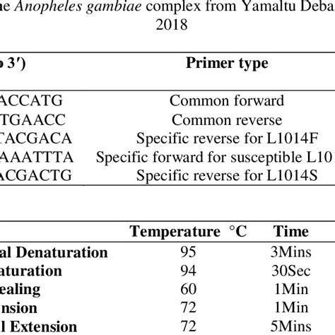 A Pcr Primer Sequences And B Thermal Cycling Conditions Used For