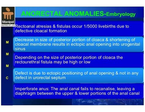 Anorectal Anomalyimperforate Anus