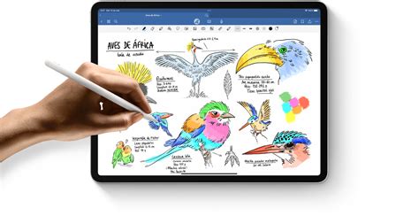 iPad Por qué el iPad Apple