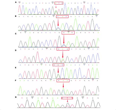 Identification Of Hemoglobinopathies Using Dna Sequencing Arrows