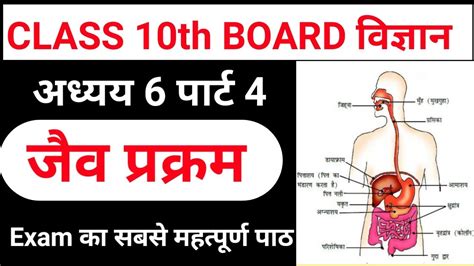 Class vigyan chapter जव परकरम jaiv prakram complete chapter Part YouTube