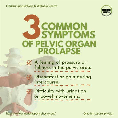 📢 Understanding Pelvic Organ Modern Sports Physiotherapy