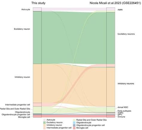 Figures And Data In Temporal Transcriptomic Dynamics In Developing Macaque Neocortex Elife