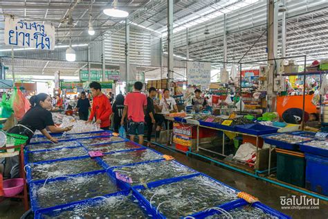 ตะลุยแหลก ตลาดประมงพื้นบ้านอ่างศิลา ชลบุรี อาหารทะเลสดๆ ถูก เยอะ สะใจ