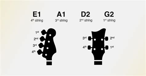 Online Bass Tuner Tune Your Bass Easily Onlinetuner Org