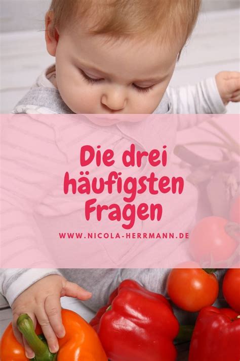 Beikost drei häufigsten Fragen Nicola Herrmann Abenteuer Küche Recipe Winter diy