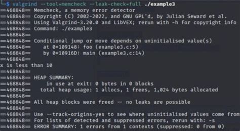 Valgrind Embedded Lab Vienna For Iot Security
