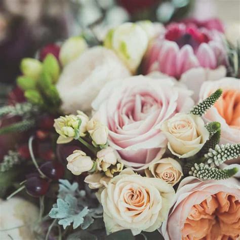 Garden Centers And Nurseries Landscaping Services And Design Florists
