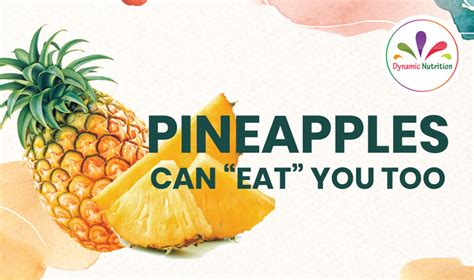 Pineapples Can “eat” You Too Dynamic Nutrition