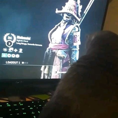 My Cat Does Not Like My Nobushi Rforhonor