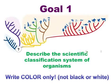 Pdf Describe The Scientific Classification System Of Organisms