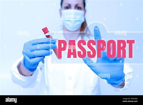 Writing Displaying Text Passport Word Written On Official Document Issued By A Government