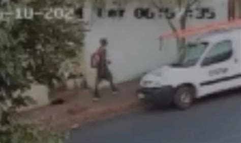 VÍDEO Câmera de segurança flagra momento em que homem chuta cachorro
