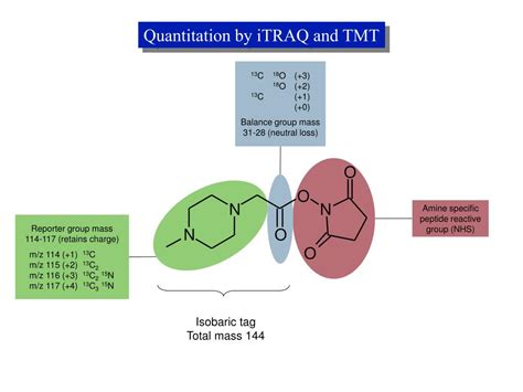 Ppt Isobaric Tag Total Mass 144 Powerpoint Presentation Free