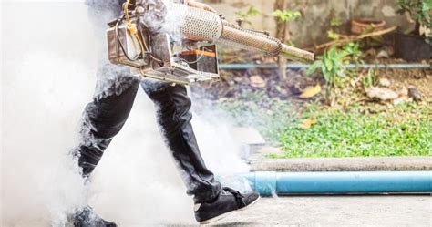 201 Funny Wolf Jokes And Puns