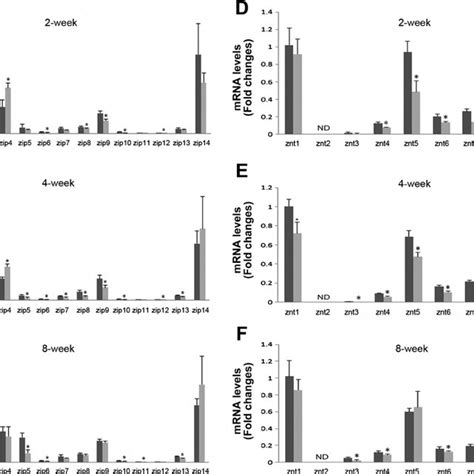 The Gene Expression Levels Of Zinc Transporters In Mouse Livers Mice