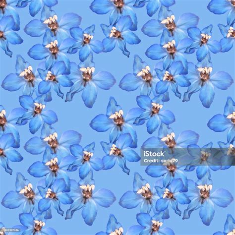 델피늄 라크스퍼 그림 꽃의 질감 연속 복제를 위한 매끄러운 패턴입니다 꽃 배경 직물 면 직물 사진 콜라주 벽지 커버 인쇄용 0명에 대한 스톡 사진 및 기타 이미지 Istock