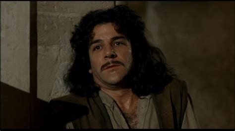 The Princess Bride The Princess Bride Image 4563120 Fanpop
