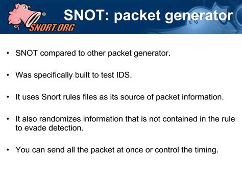 Intrusion Detection System Using Snort Ppt