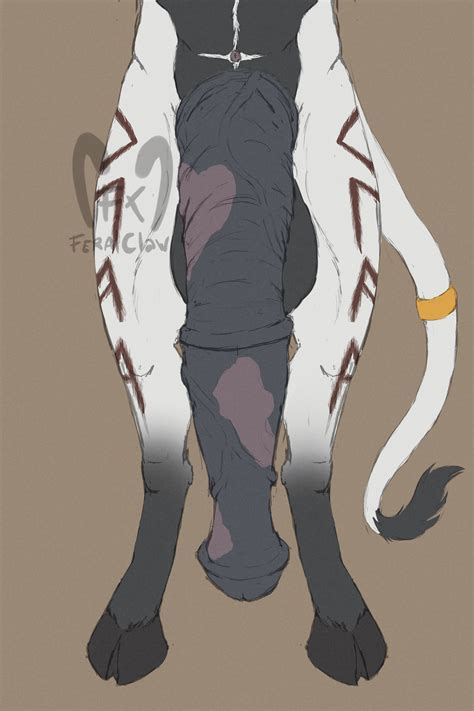 Rule 34 Animal Genitalia Animal Penis Anthro Balls Big Balls Big