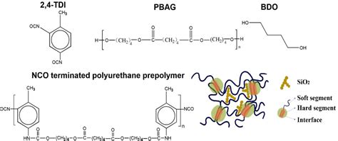 Figure 1 From The Difference In Molecular Orientation And Interphase