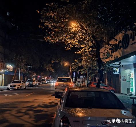 他好像一条狗啊银行狗 知乎