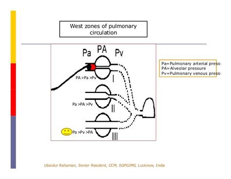 Heart Lung Interaction