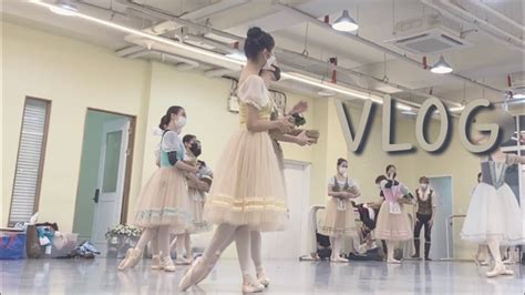 발레단 클래스일상고앵이 해먹의상리허설 Youtube