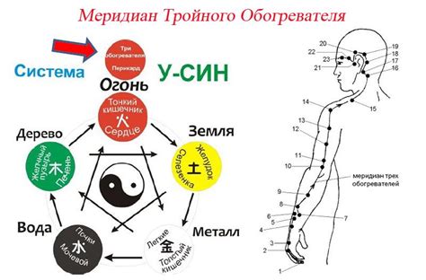 Что такое Меридиан Тройного Обогревателя, где размещены его активные ...