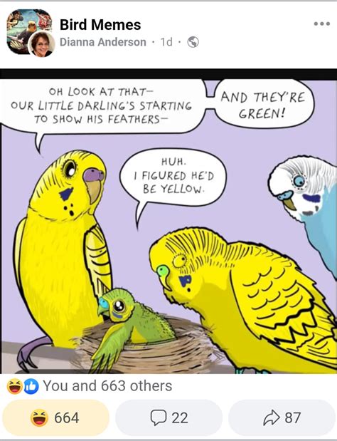 Too Cute Not To Share π Rbudgies Too Cute Not To Share π Rbudgies