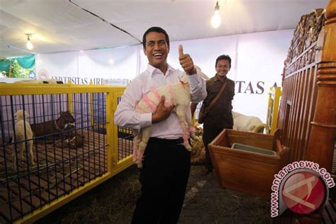 Pameran Produk Riset Dan Inovasi Indonesia ANTARA News
