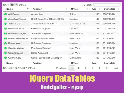 Cara Menggunakan JQuery DataTables Dengan Codeigniter Dan MySQL
