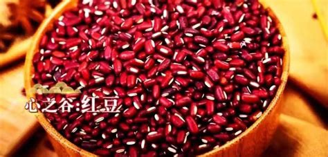 常吃豆胜吃肉这三种甘味豆子巧养脾肾心千万别错过 澎湃号政务 澎湃新闻 The Paper