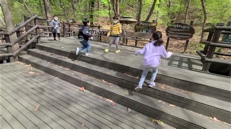 과천 문원초 병설유치원 도라지꽃 뮤직비디오 Youtube