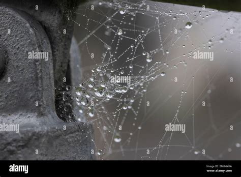 Line And Water Droplets Hi Res Stock Photography And Images Alamy