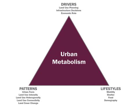 1 Um Drivers Patterns And Lifestyles Adapted From Minx Et Al 2010