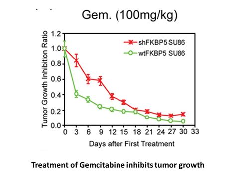 Apexbio Gemcitabine