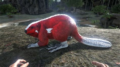 Castoroides Official Ark Survival Evolved Wiki