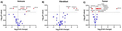 Spatial Transcriptomic Profiling Of Tetraspanins In Stage 4 Colon