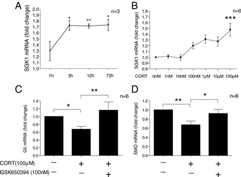 Role For The Kinase Sgk1 In Stress Depression And Glucocorticoid