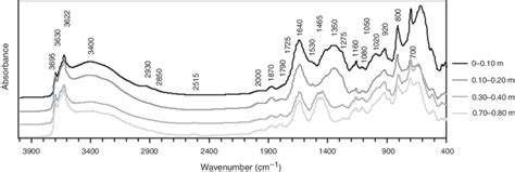 Mid Ir Spectra Of A Representative Soil Profile At 4 Depths Download
