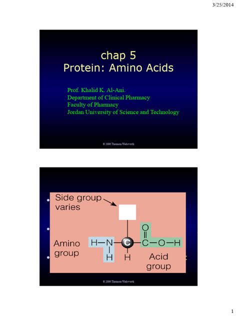 Chapter6proteinaminoacids Pdf Digestion Proteins