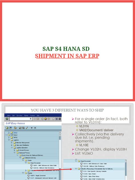 Saps4hanasdshipmentinsaperp1705600941 Pdf Computing